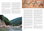 The Illustrated History of the Yagyu Clan | TOYO PRess